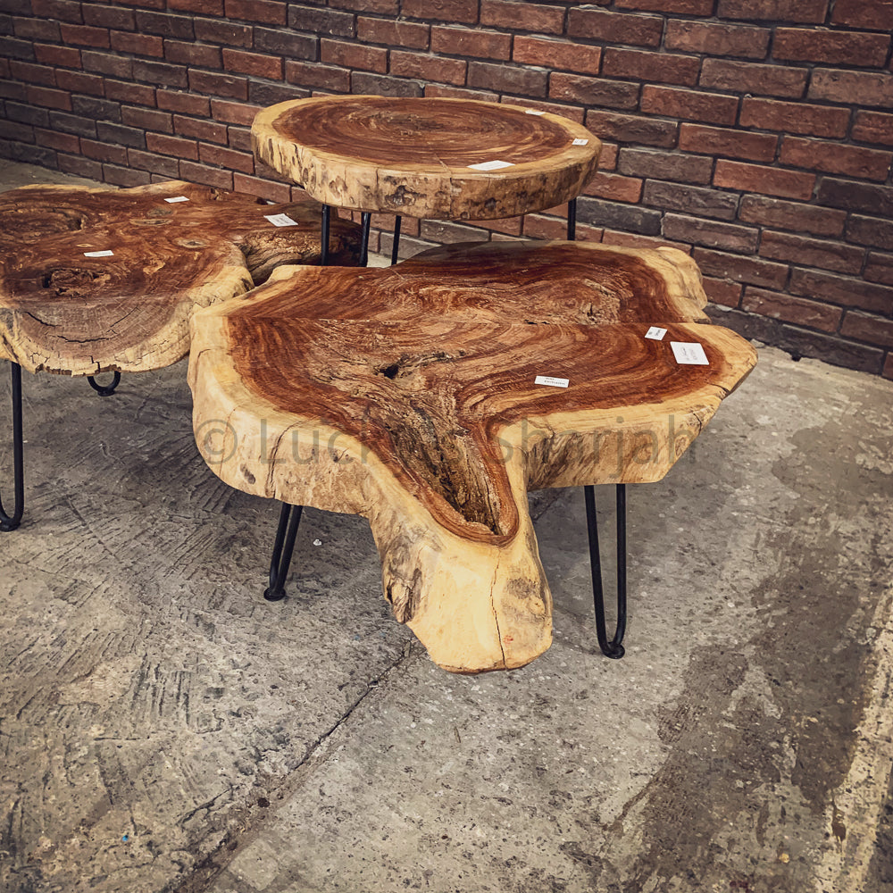 Live Edge Log tables