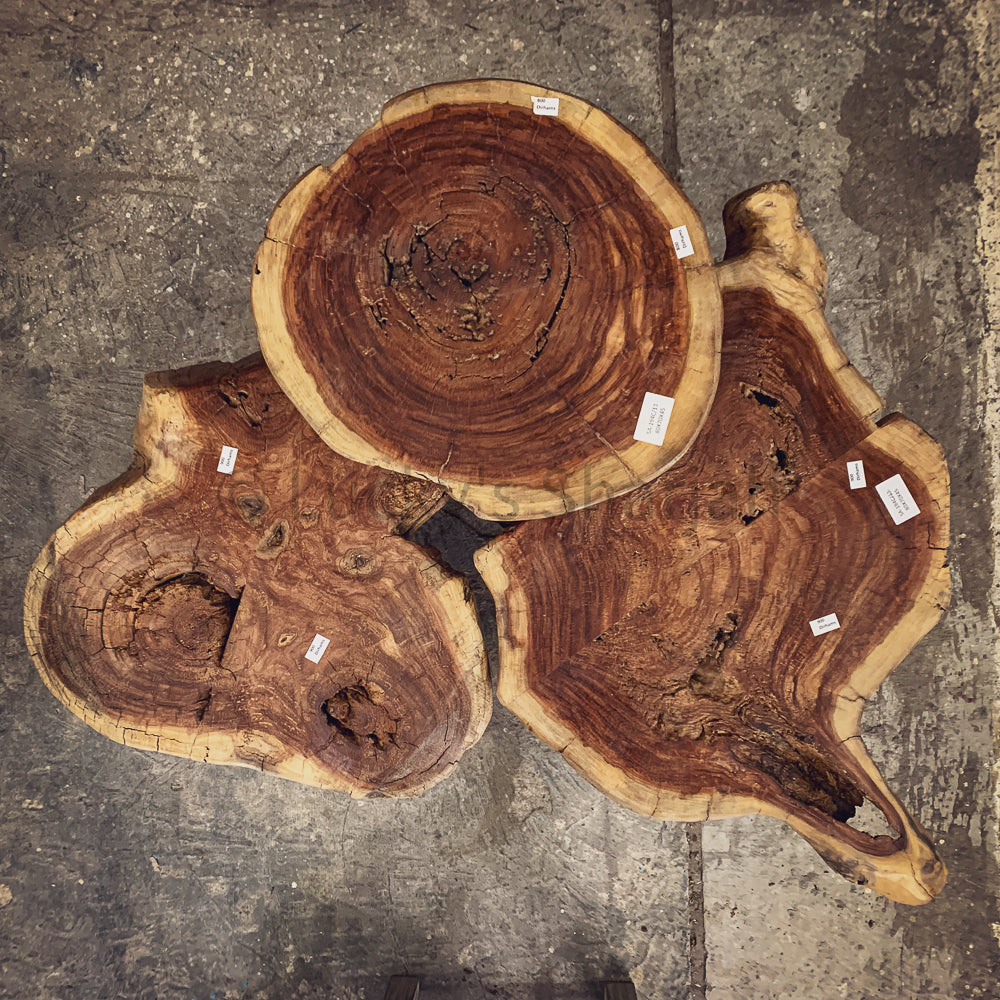 Live Edge Log tables